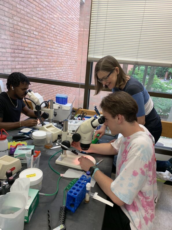 Starz-Gaiano Laboratory – UMBC